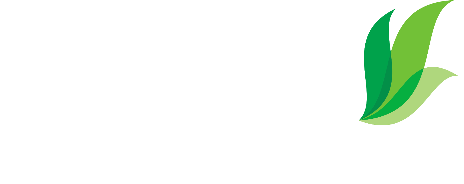 Deep MedChem
